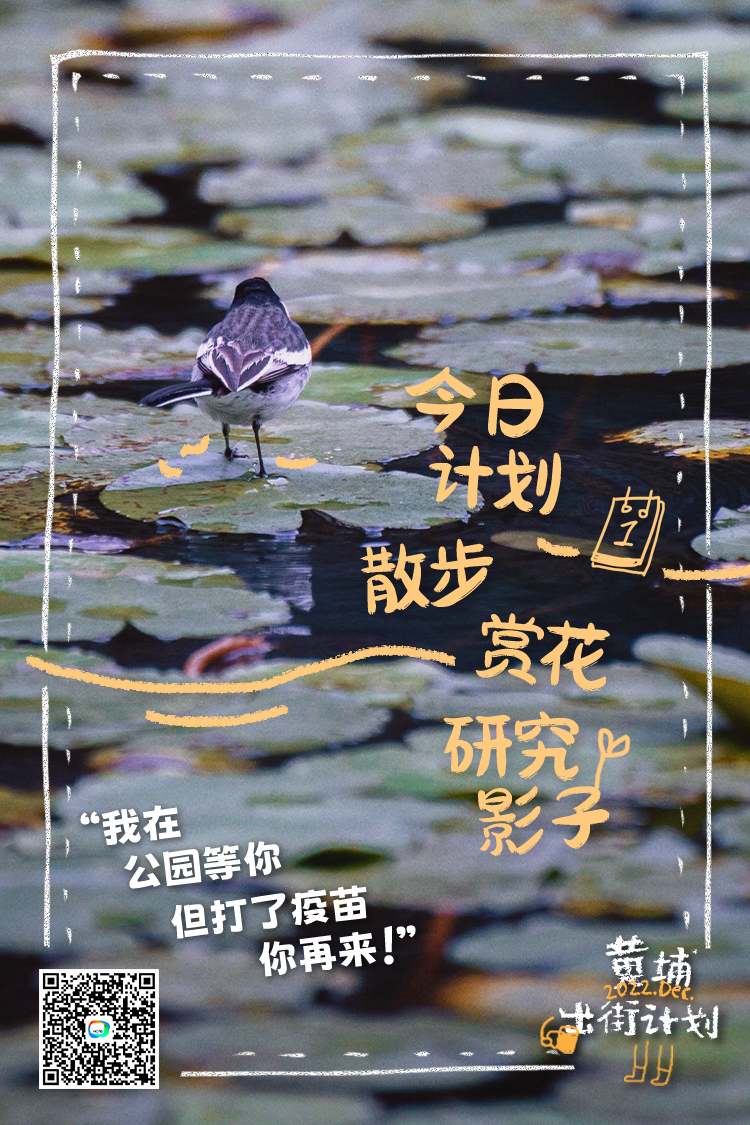 黄埔：冬花伴烟火，希望满人间