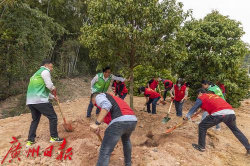 全省将完成森林质量精准提升总任务4626万亩