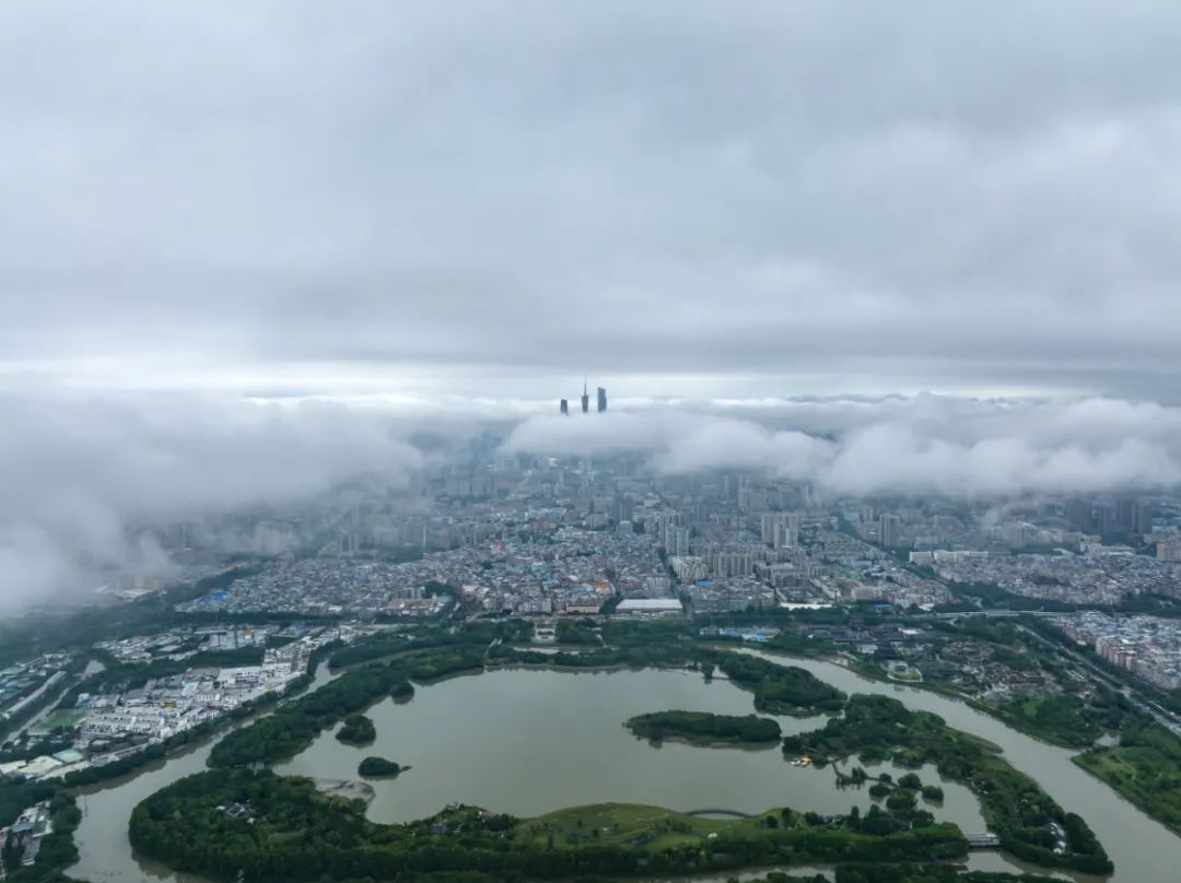 Photos | Enjoy the Haizhu wonderland on foggy days
