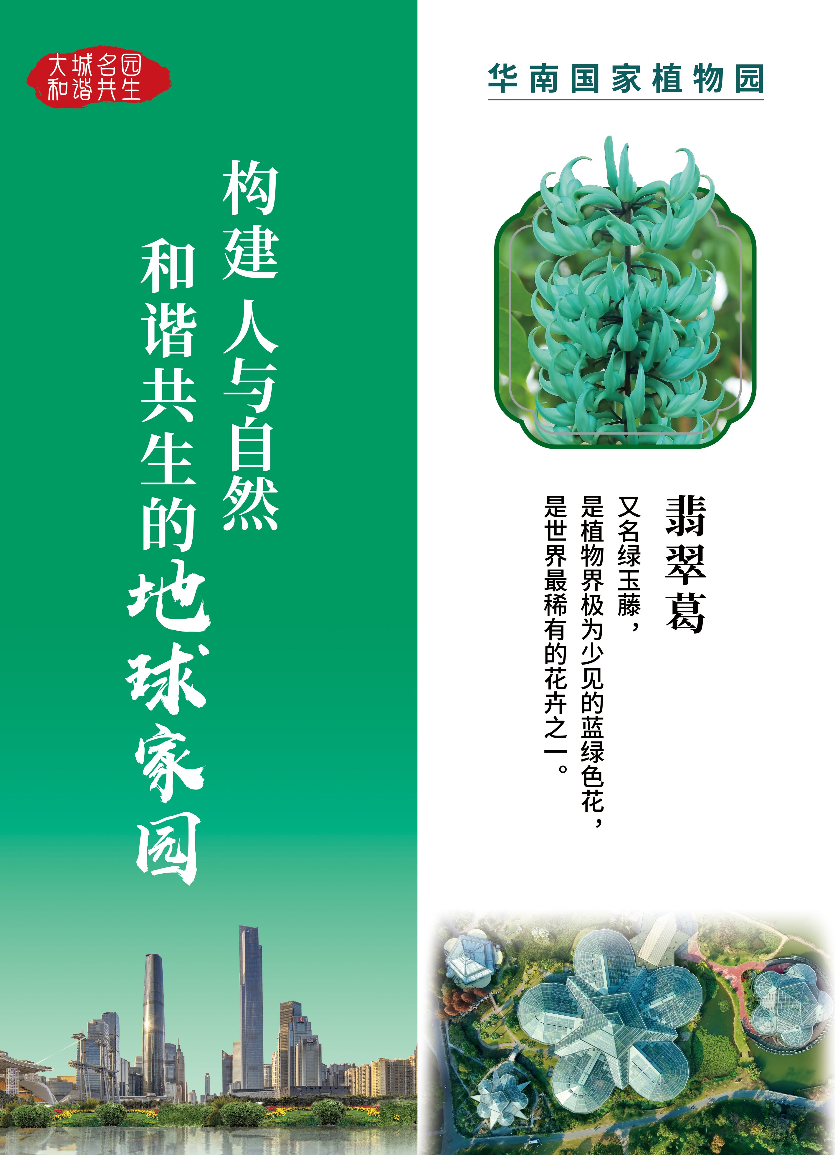 公益广告 | 大城名园 和谐共生