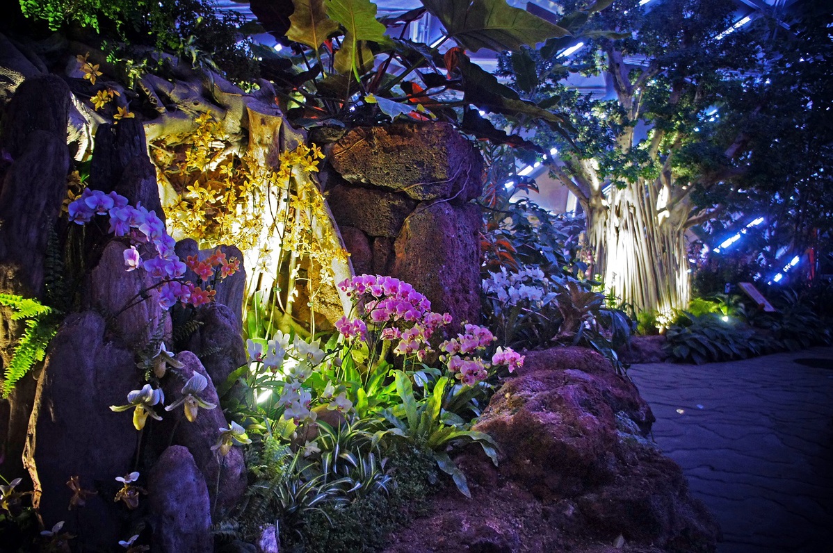 In pics | Nocturnal delights