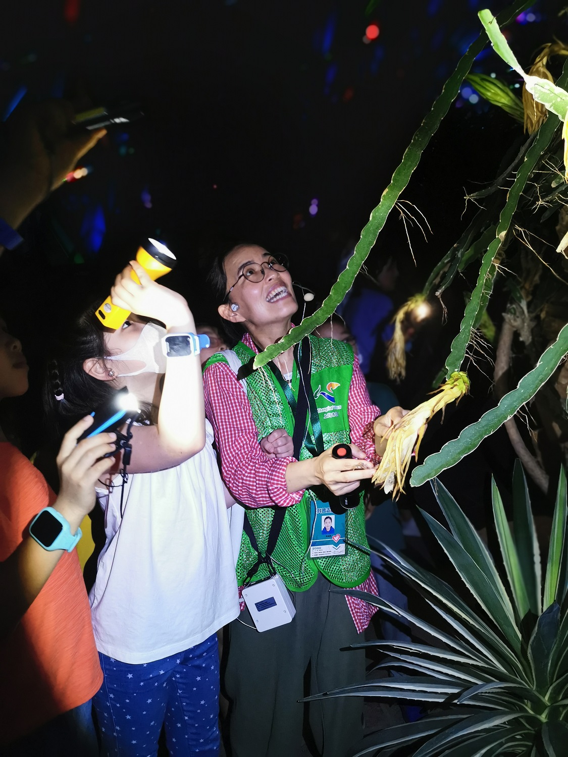 In pics | Nocturnal delights